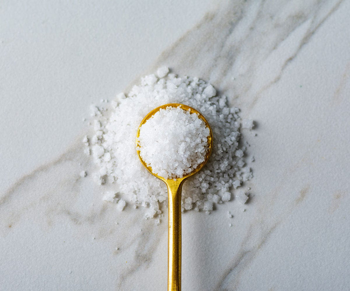 Mayan Sea Salt Seasoning — Savory Spice