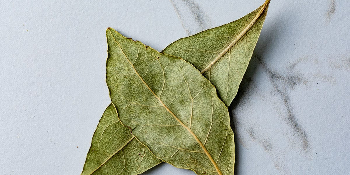 Turkish Bay Leaves — Savory Spice